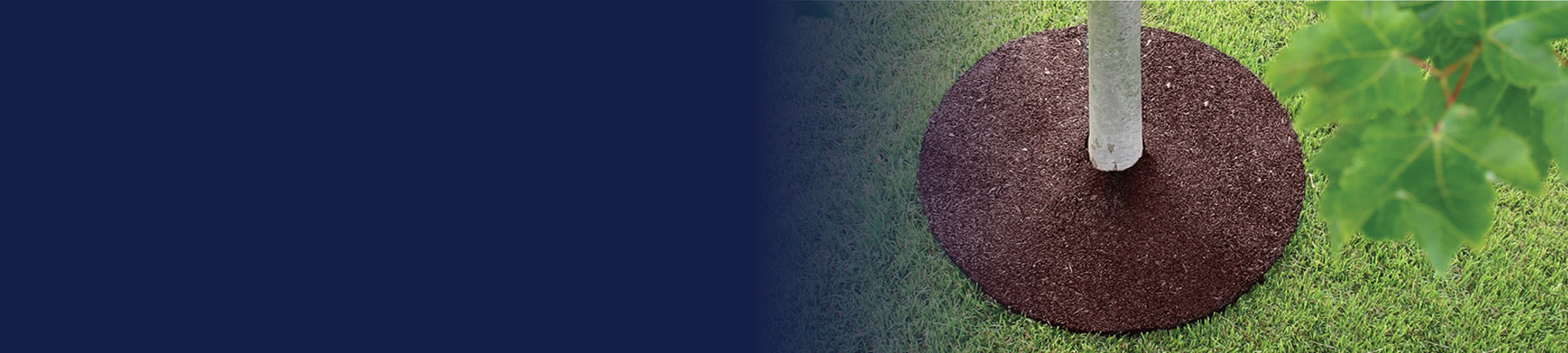 Tree rings - RubberMulch.com